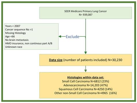 Cancers Free Full Text Sex Difference In Disease Related Adverse