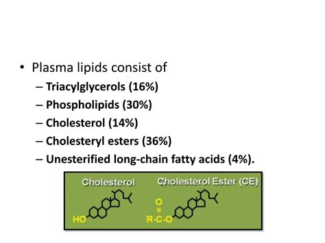 Lipoprotein Metabolism Pptx Hdl Metabolism Ldl Metabolis Vldl Metabolis Chylomicron