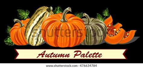 Hairy Mature Outdoor Over 5 Royalty Free Licensable Stock