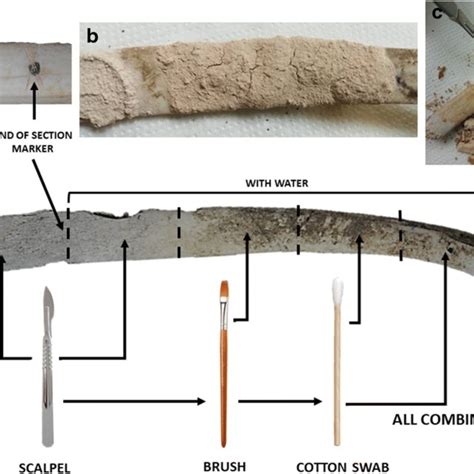 Detailed Graphic Description Of The Hirox Kh 8700 3d Digital Microscope