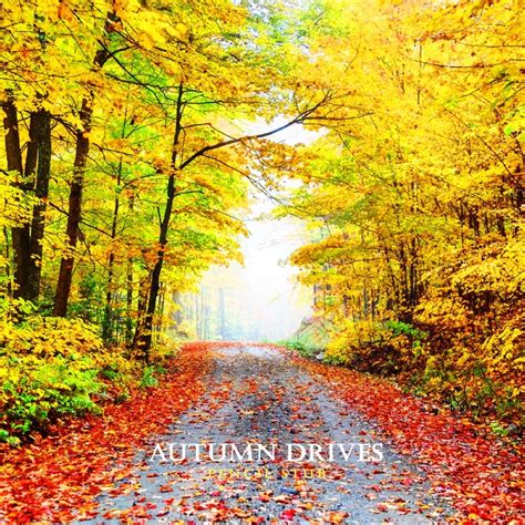 ”autumn Drive” By Pencil Stub トラック・歌詞情報 Awa