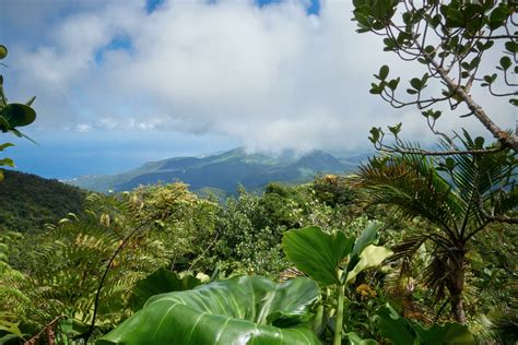Unraveling Guadeloupes Colonial Legacy Exploring Its Vibrant Past