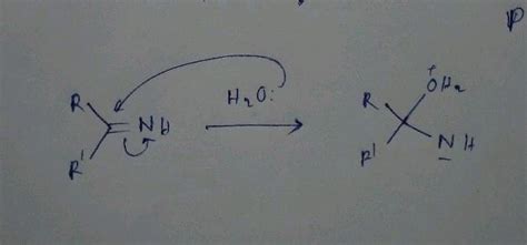 In The Acidic Hydrolysis Of Imines The Intermediate Which Is Formed To The Least Extent Is SH