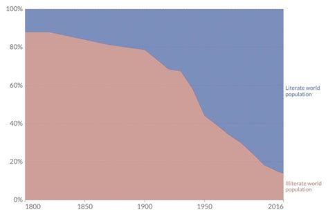 Literacy To Longevity The Maias
