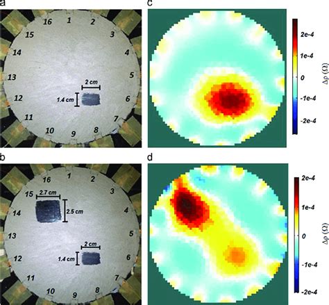 A And B Sensing Skin Applied To A Polymeric Substrate With Physically