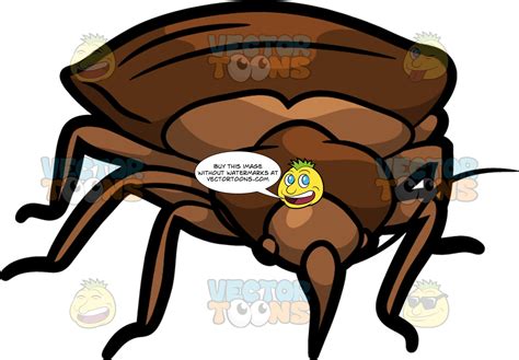 Bed Bugs Clip Art 20 Free Cliparts Download Images On Clipground 2026