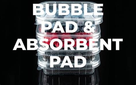 Bubble Pad And Absorbent Pad Designed For Recycling