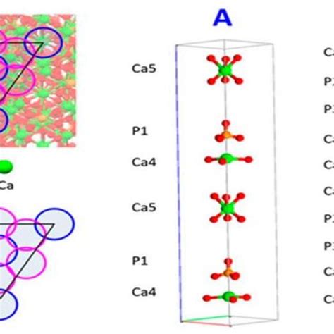 left views of the β tcp unit cell down the c axis right a view of