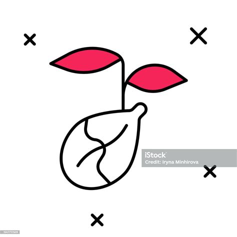 흰색 배경에 격리 된 윤곽 새싹 아이콘 종묘와 묘목 나뭇잎 기호 잎 자연 벡터 가득 찬에 대한 스톡 벡터 아트 및 기타 이미지 가득 찬 개념 꽃 식물 Istock