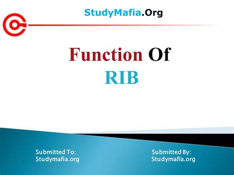 Functions Of Rbipdf Functions Of Rbipdf