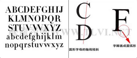 字体设计初学者必读 外文字体设计 腾龙视觉 站酷ZCOOL