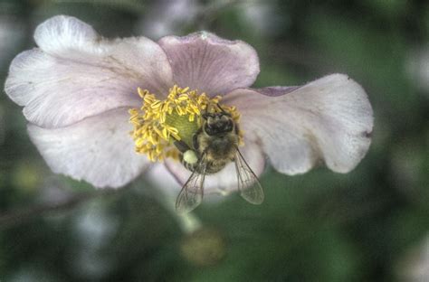 Какво е умен град и има ли приложение в България Климатека Науката за климата на твоя език
