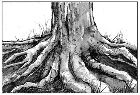 Tree Roots Sketch At PaintingValley Com Explore Collection Of Tree