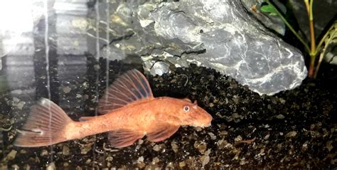 Can You Help Me Understand Whats Happening Here Scrolller