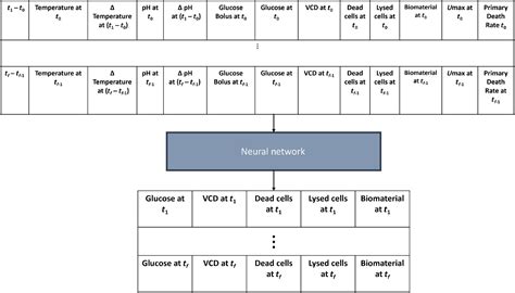 Noise Aware Parameter Estimation In Bioprocesses Using Neural Network Surrogate Models With