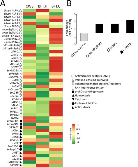 A Heatmap Showing The Expression Profile Of 50 Immune Related Genes In