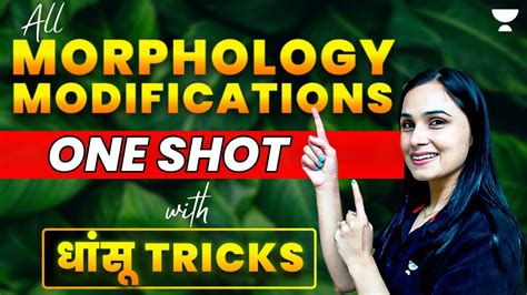 All Morphology Modifications With धांसू Tricks One Shot Latest