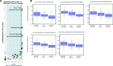 Genotype Tissue Expression Analysis Of Rs7944135 A A Cis Expression
