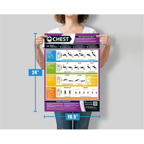 Chest Exercise Poster Innovative Gym Fitness Charts
