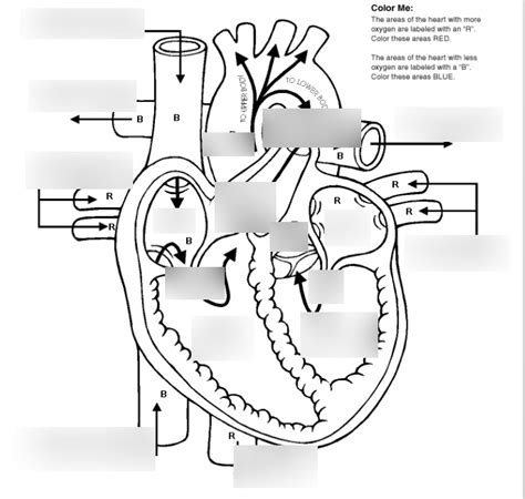 Science 7th Heart Diagram Part 1 Science 7th Heart Diagram Part 2 Science 7th Heart Diagram Part 1 Science 7th Heart Diagram Part 2