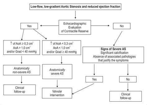 Proposed Algorithm For Assessment Of Patients With Low Flow Download Scientific Diagram