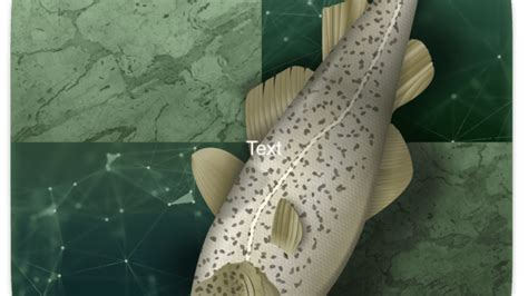 Stockfish 151 Is Here