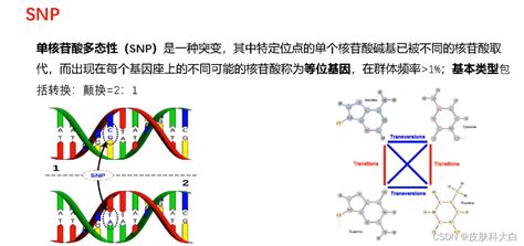 孟德尔随机化推断暴露因素与健康结局的因果关系 孟德尔多结局 csdn博客