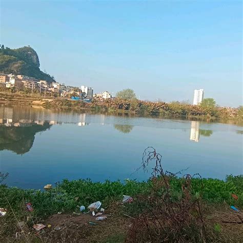 太平驸马”薛绍：母亲、妻子都是公主，为何却被饿死？唐高宗武则天薛家