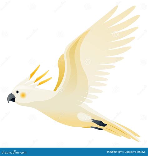 Parrot Animation Exotic Adorable Fauna Character Flight White Sulphur
