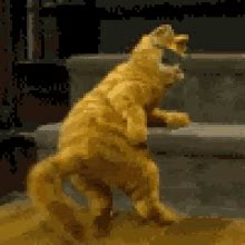 Cat Twerking  S Tenor