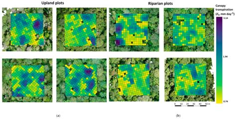 Spatial Heterogeneity Of Canopy Transpiration Et Mm Day⁻¹ Within The Download Scientific