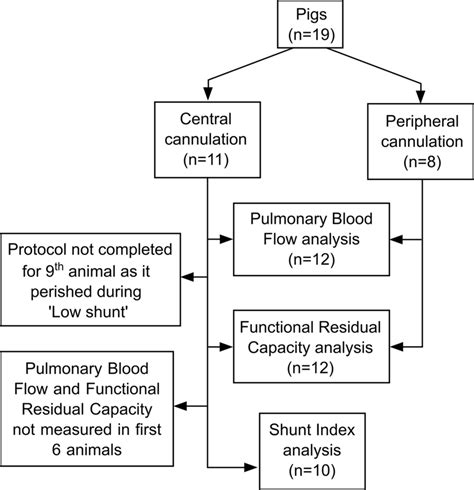 Experimental Design A Flow Diagram Of The Parameters Analyzed Download Scientific Diagram