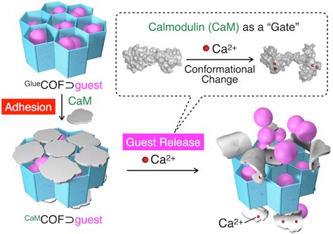 Porous Material With Gated Nanopores Chemistryviews