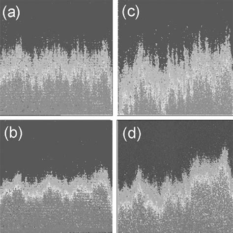 Figure 3 From Pore Scale Mixing And Macroscopic Solute Dispersion Regimes In Polymer Flows