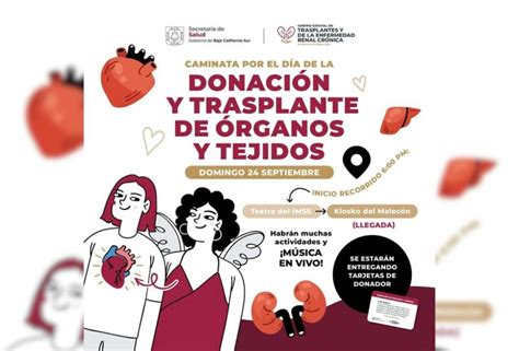 Caminata para fomentar cultura de donación de órganos y tejidos