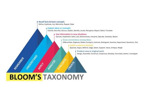20 Taxonomy Graphic Stock Illustrations Royalty Free Vector Graphics And Clip Art Istock