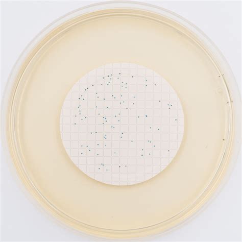 Reference Material For Rapidenterococcus For Water Testing Alternative Method For Iso 7899 2