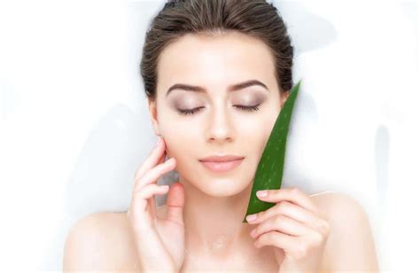 Beneficios Y Propiedades Del Aloe Vera Almasecret Com