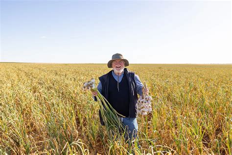 Australian Garlic X Mejor Technologies