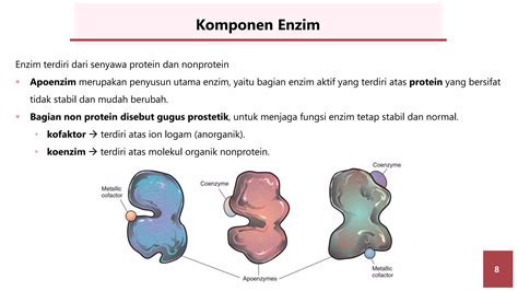 Bab 2 Enzim Dan Metabolisme 2pptx