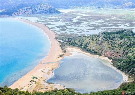 İztuzu Plajı Dalyan Nerede Denizi Kumu Nasıl Tüm Detaylar