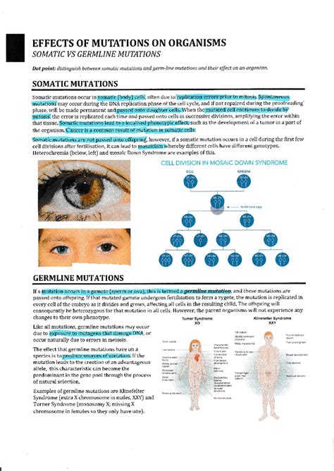 Effect Of Mutation On Organisms Effects Of Mutations On Organisms Somatic Vs Germline