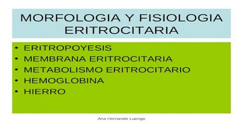 Ppt Ana Hernando Luengo Morfologia Y Fisiologia Eritrocitaria