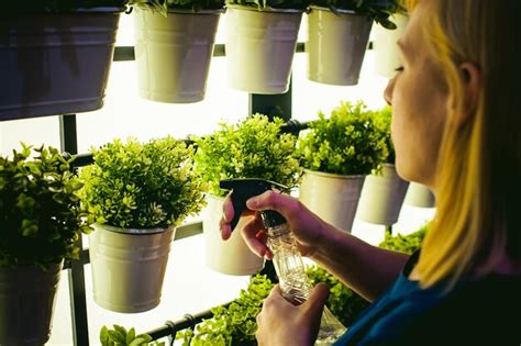 Premium Photo Woman Watering Potted Plants At Greenhouse