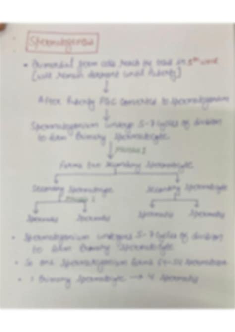 SOLUTION Gametogenesis Oogenesis Spermatogenesis Handwritten Notes Studypool