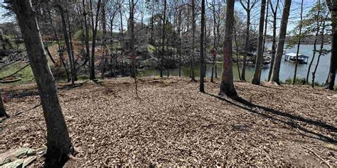 Does Cutting Tree Roots Kill A Tree Expert Advice