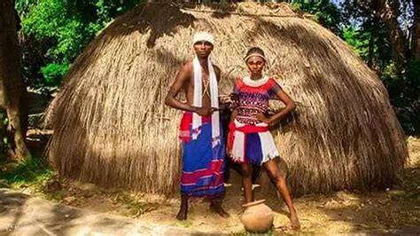 Nairobi Bomas Of Kenya Cultural Dances Show Tour And Transfer Klook
