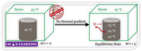 Differentiate Between Steady State And Equilibrium State Insight Into Chemical Engineering