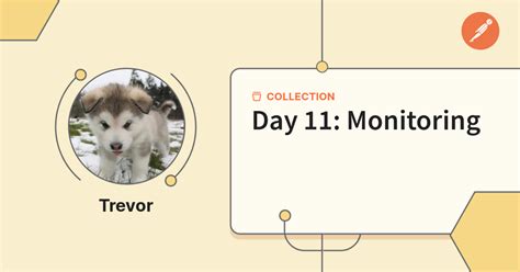 Day 11 Monitoring 30 Days Of Postman For Developers Workspace