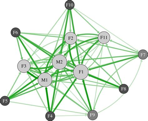 Coreperiphery Structure Within The Attraction Network Colours Of Download Scientific Diagram